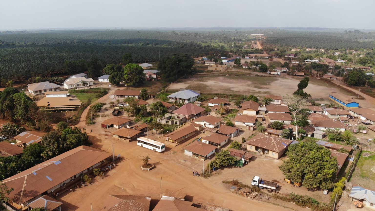 Socfin and the palm oil business: How industrial plantation is costing ...