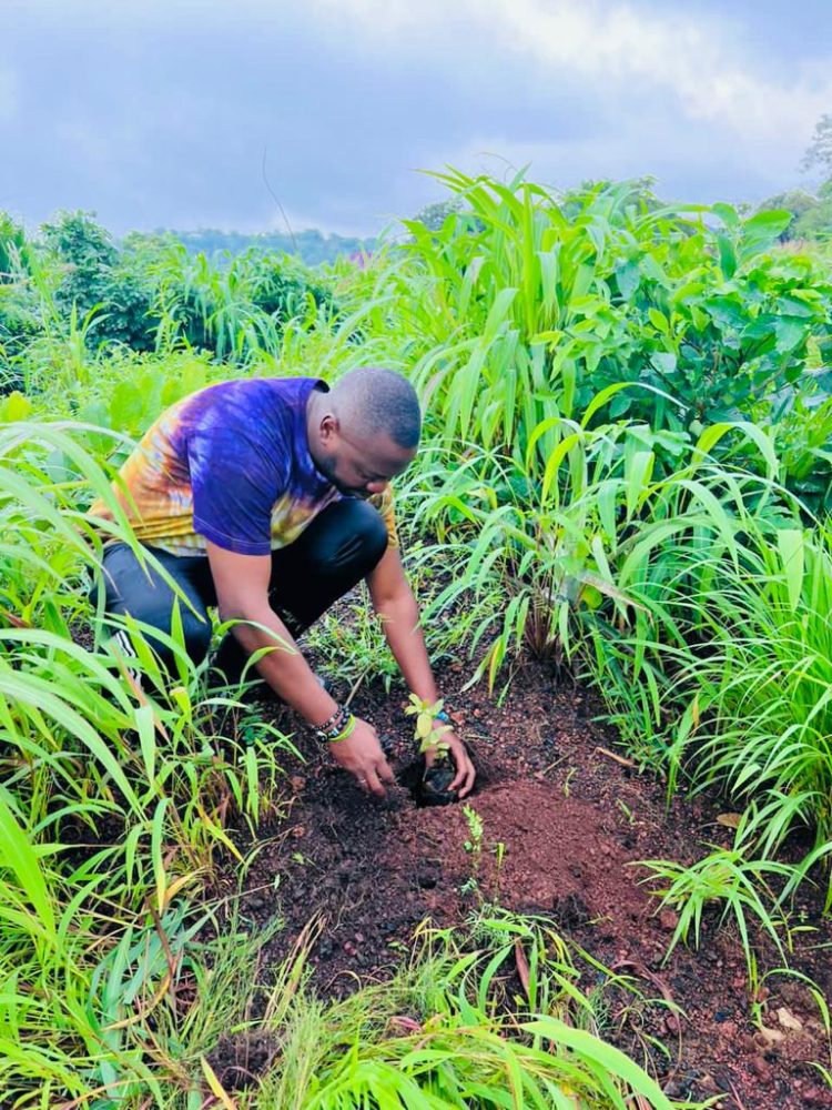 PROJECT 1808 embarks on annual tree planting exercise - ManoReporters.com