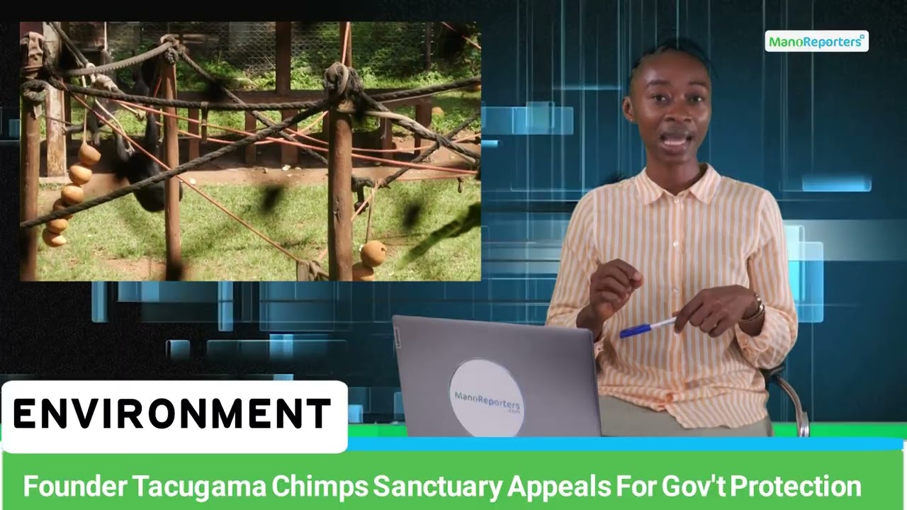 Founder of Tacugama Chimps Sanctuary appeals for gov’t protection ...